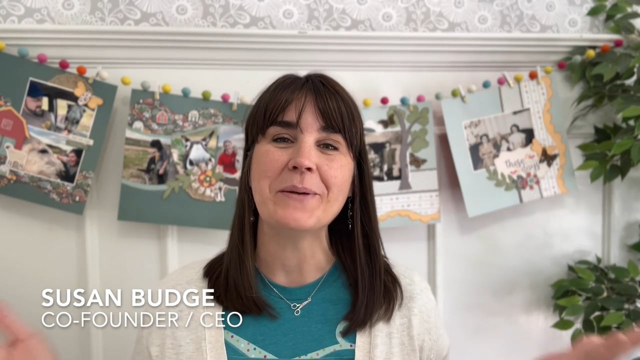 Mix And Match Pattern Papers Guide - Kiwi Lane