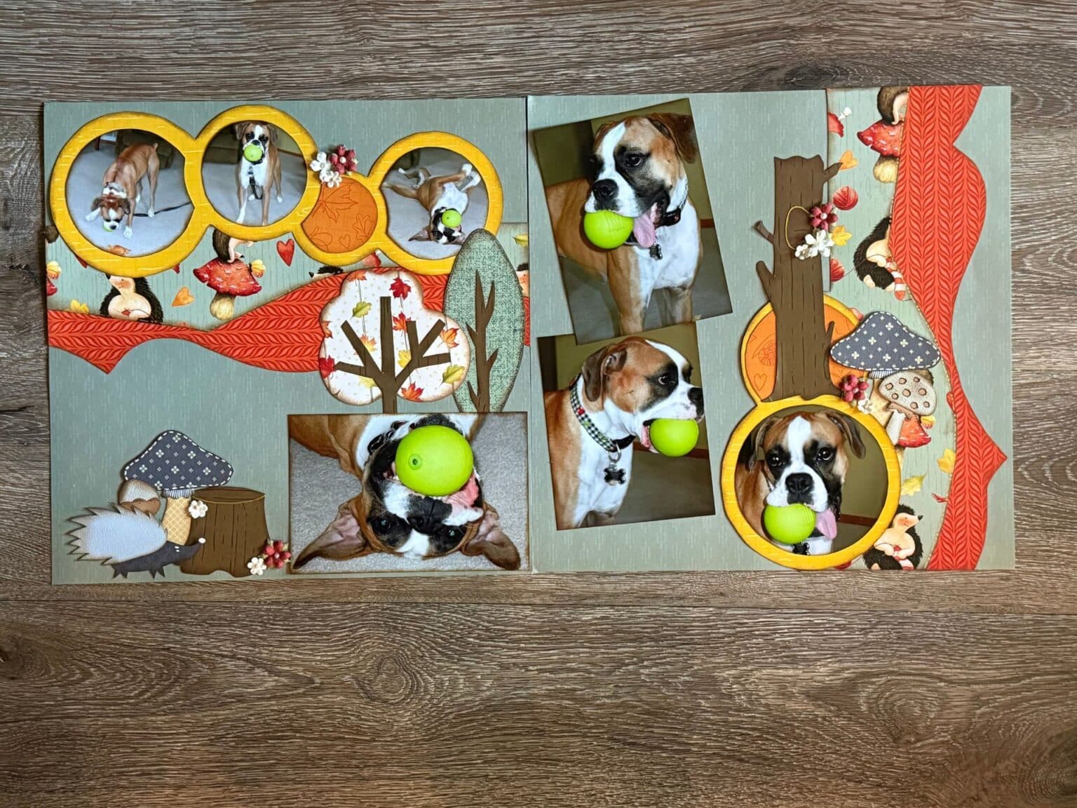 Everett Drive Border Set – Modern Scrapbook Borders With Bold Curves ...